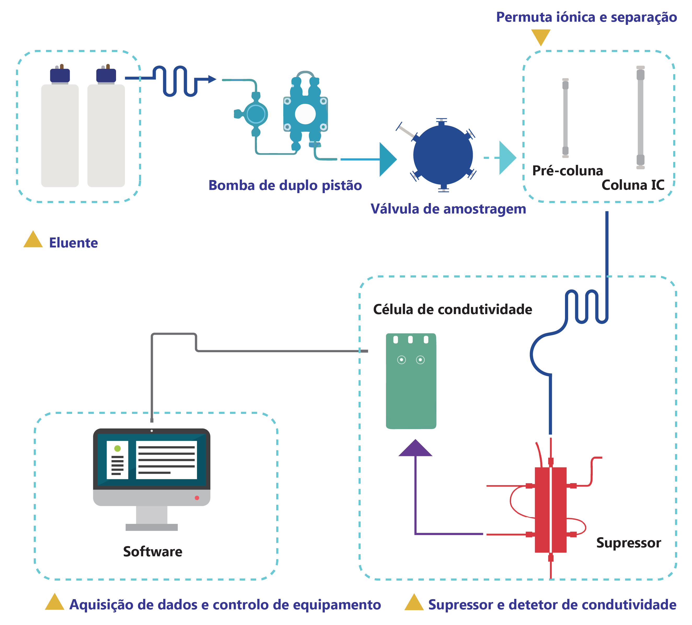 Cromatografia Iónica